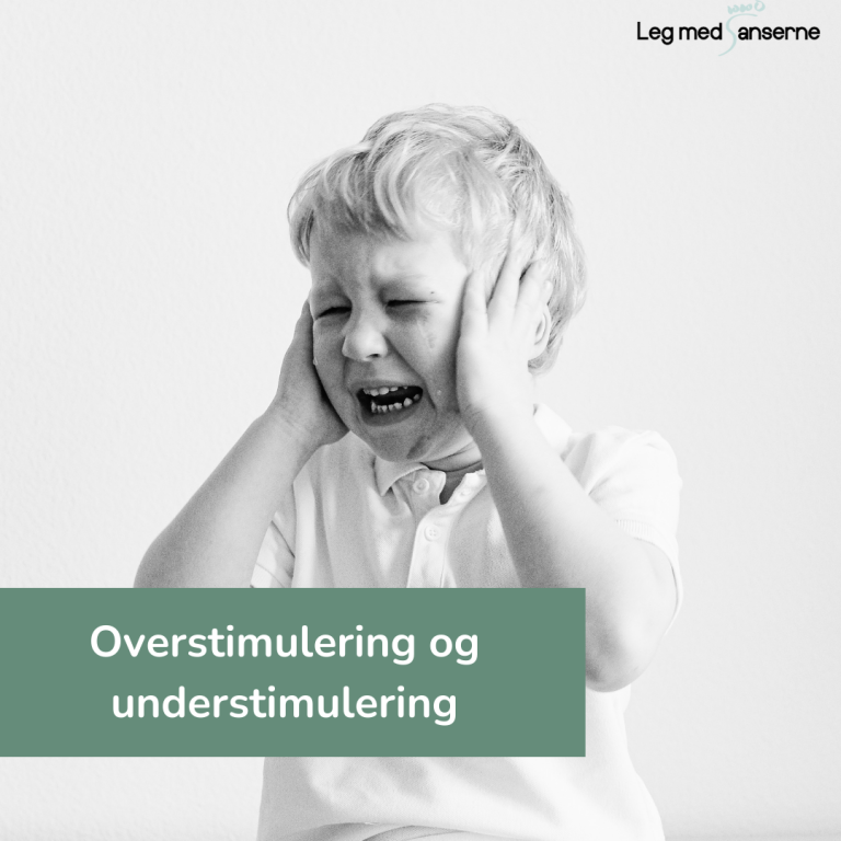 Overstimulering og understimulering - Leg med Sanserne