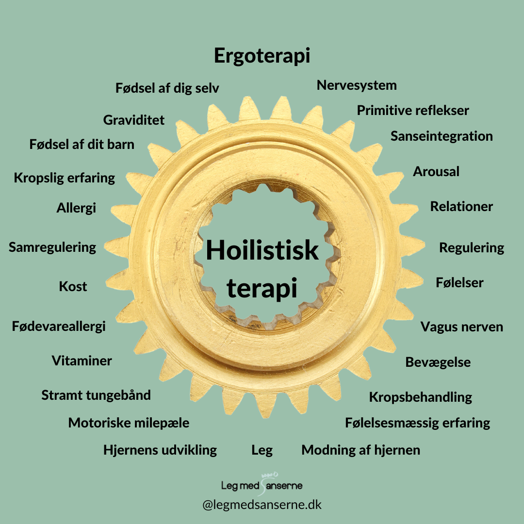 Holistisk ergoterapi - Leg med Sanserne